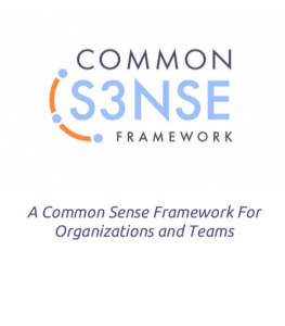 The Common Sense Framework | Sociocracy 3.0